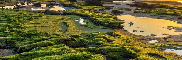 3 Incredible destinations you must visit in South Korea: Seoul, Busan ...