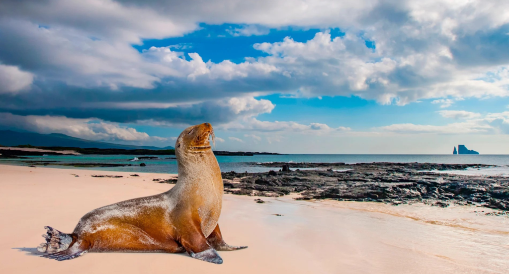 1.Galápagos Islands - Iconic Wildlife & Sublime Scenery | Western Route ...